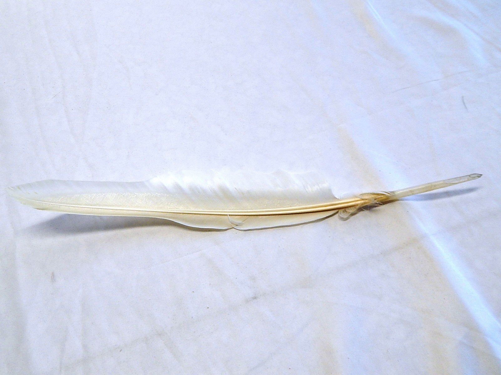 school-house-quill – Dearborn Historical Museum